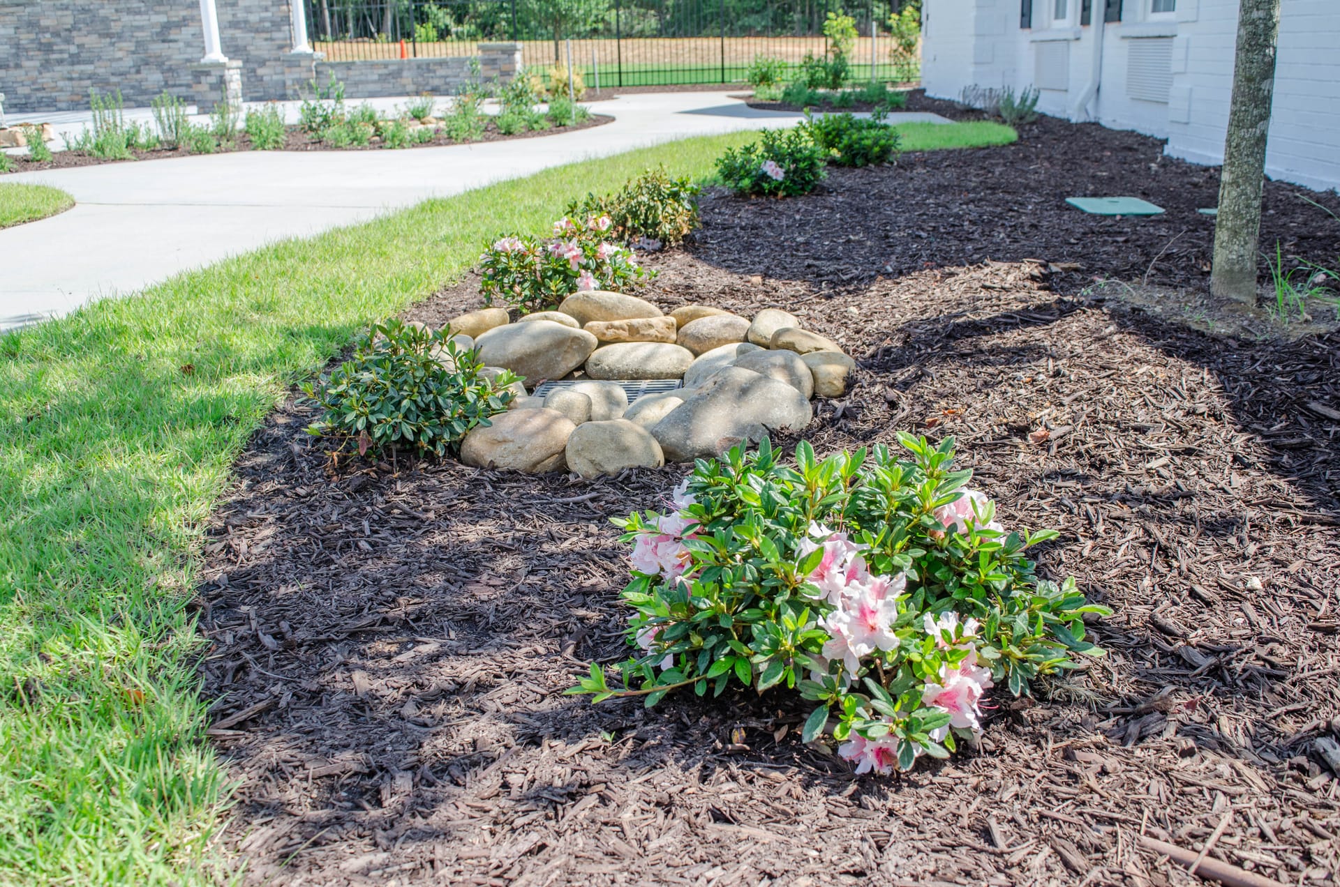 When is the Best Time of Year for Landscape Work in Augusta, GA ...