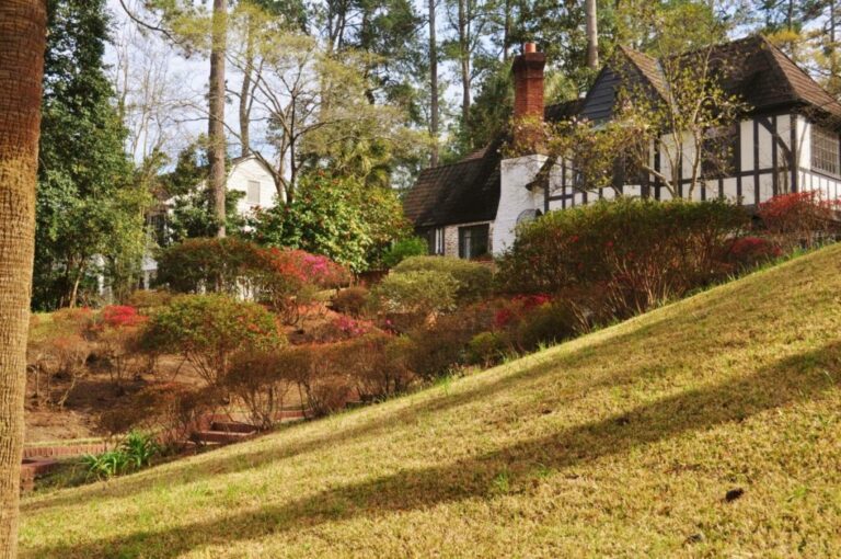 When is the Best Time of Year for Landscape Work in Augusta, GA ...