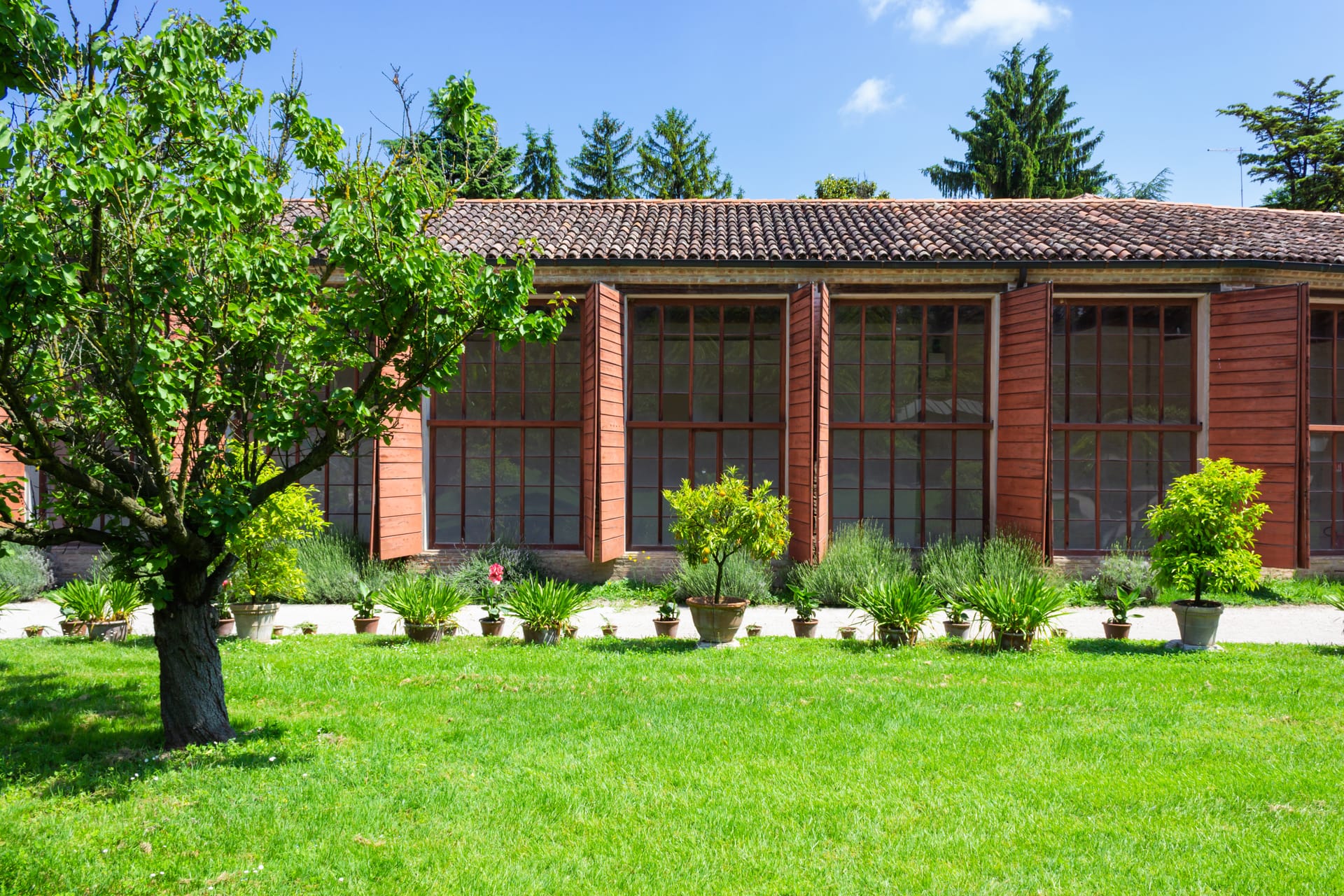 Top 9 Driveway Landscaping Ideas | Verdant Landscaping