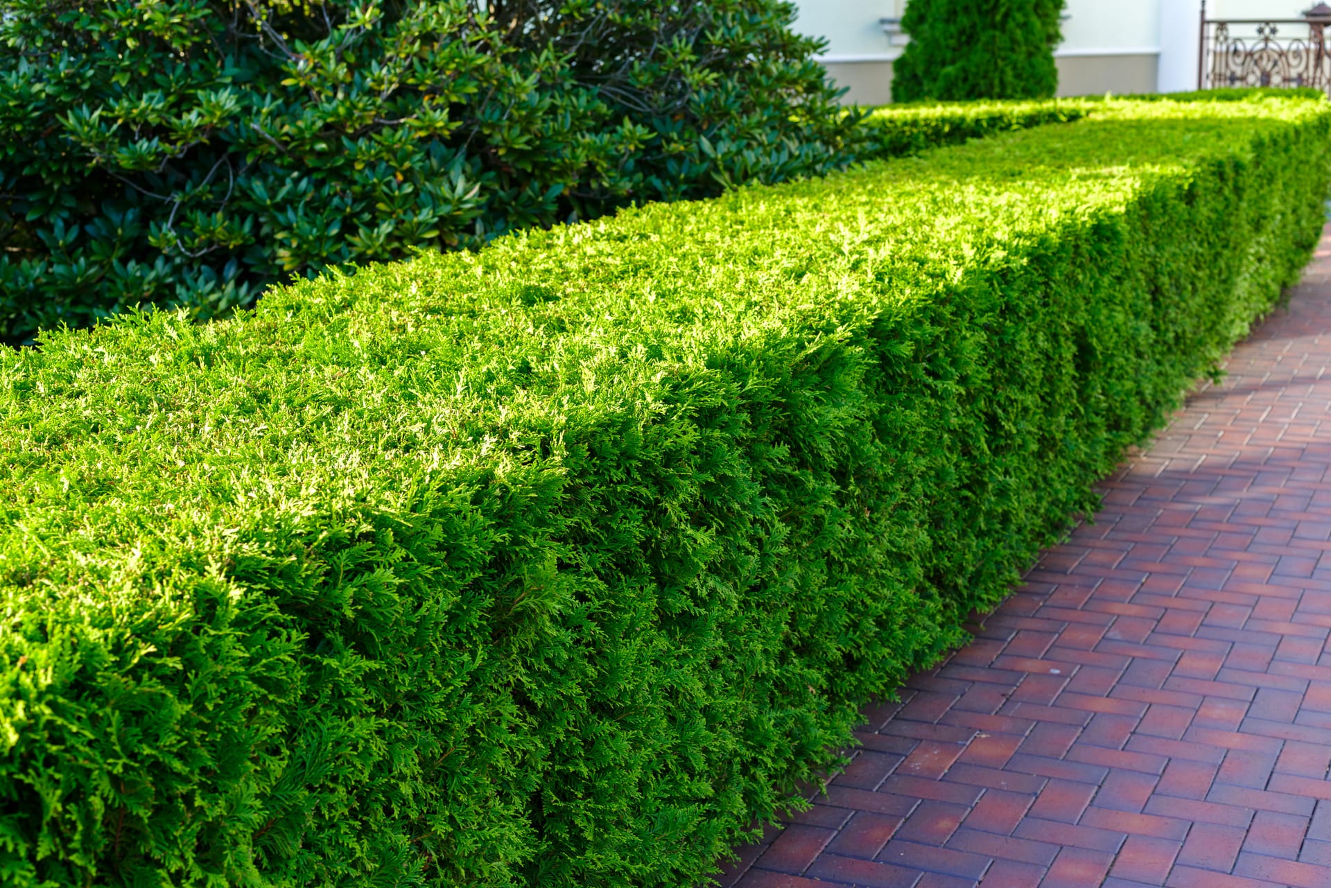 5 Landscape Features that Increase Home Security | Verdant Landscape
